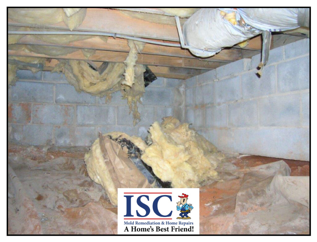 Mold Is Ugly And Unhealthy - Intrastate Services